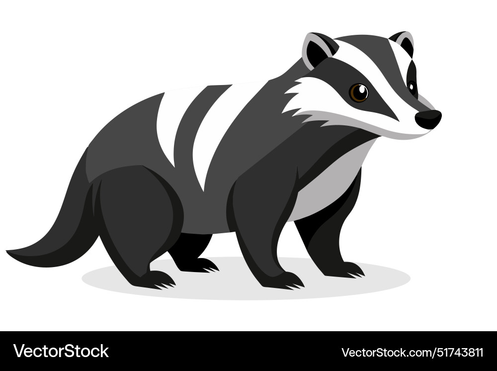 Badger animal flat on white background Royalty Free Vector