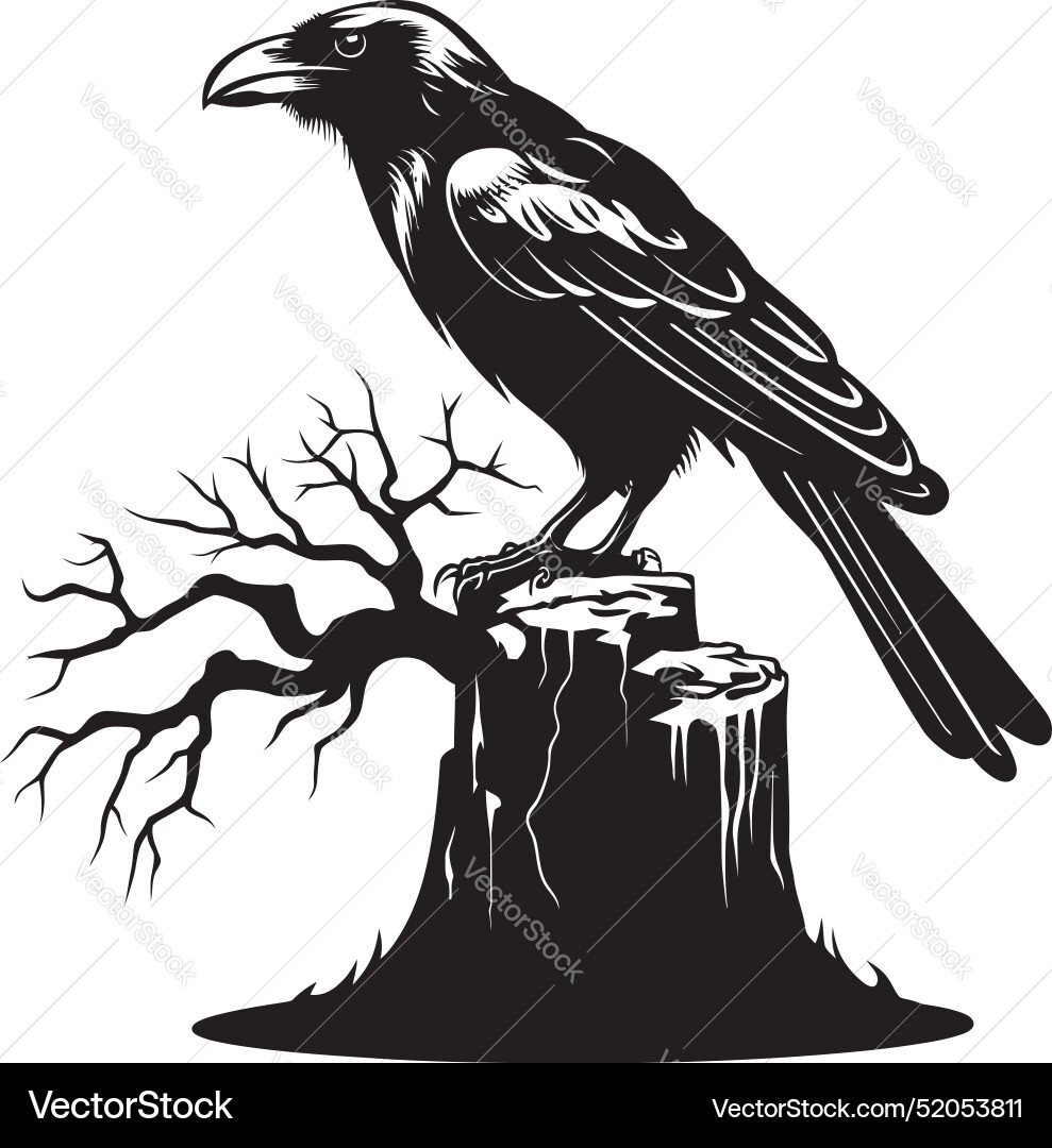 Ravens reflection logo design sinister Royalty Free Vector