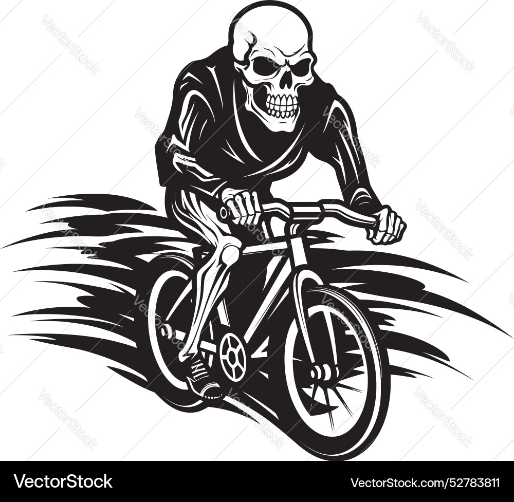 Skull cruiser iconic bicycle rider graphics Vector Image