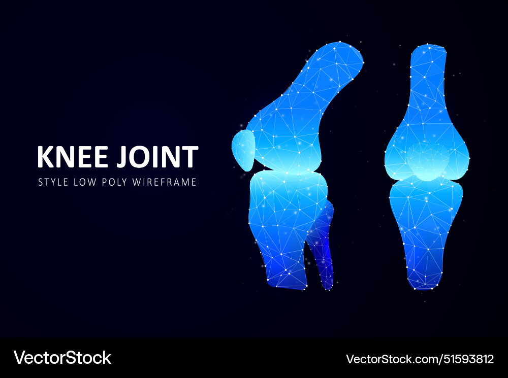 Abstract polygonal knee-joint Royalty Free Vector Image