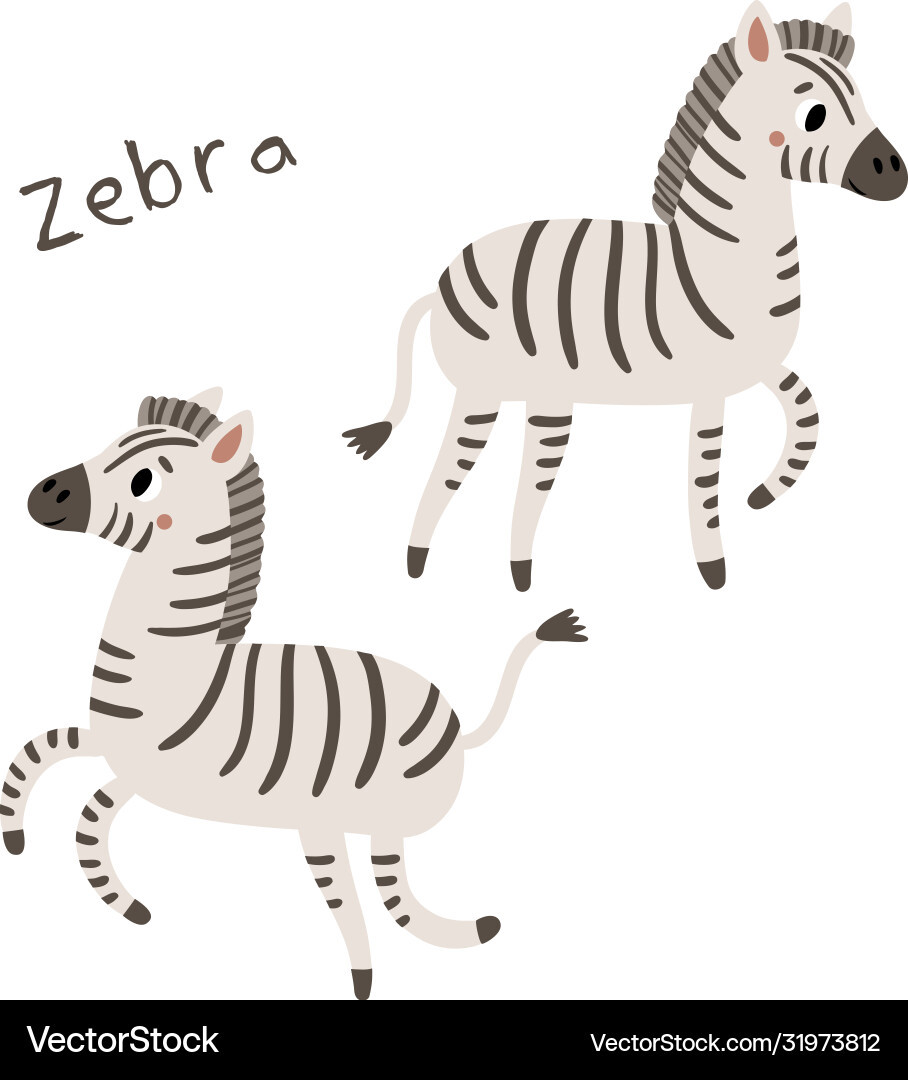 Zebra Royalty Free Vector Image - VectorStock