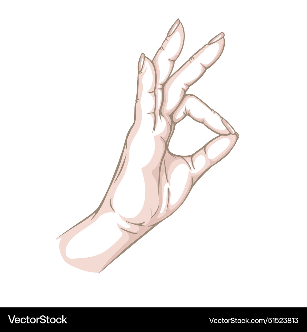 Hand gestures ok sketch Royalty Free Vector Image