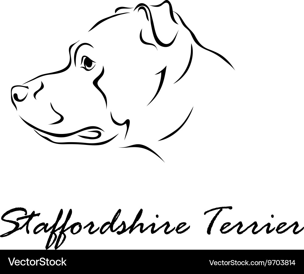 Staffordshire terrier Royalty Free Vector Image