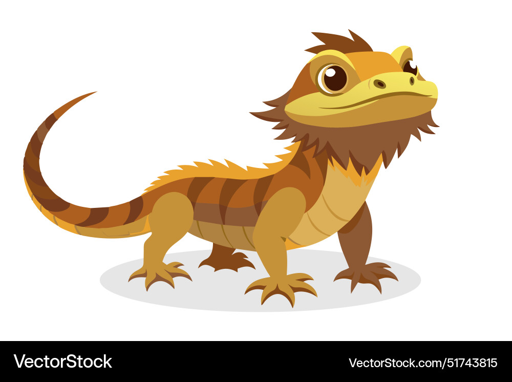 Bearded dragon animal flat on white background Vector Image