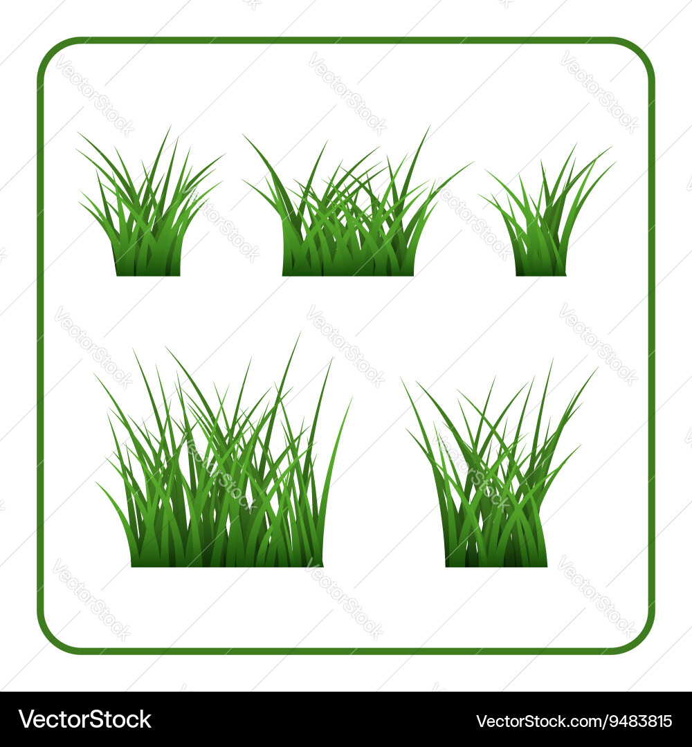 Green grass bushes isolated Royalty Free Vector Image
