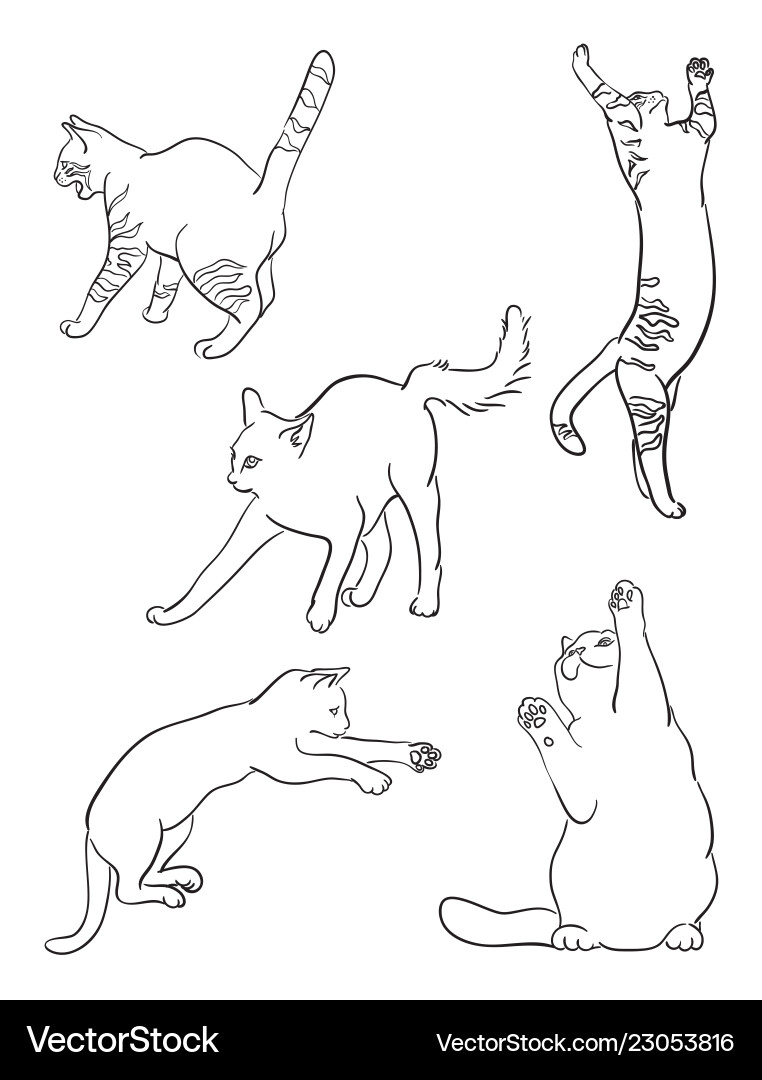 Cat line on a white background 01 Royalty Free Vector Image