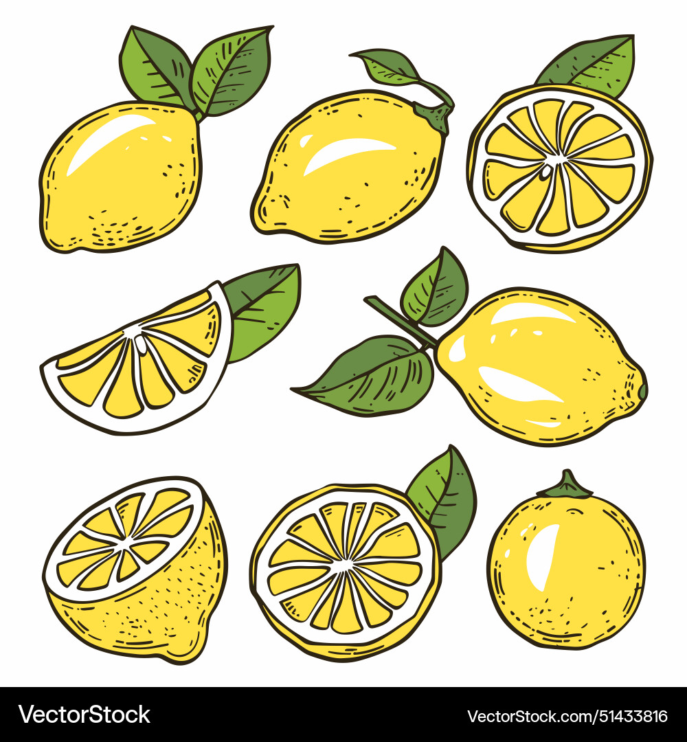 Lemon featuring whole lemons Royalty Free Vector Image