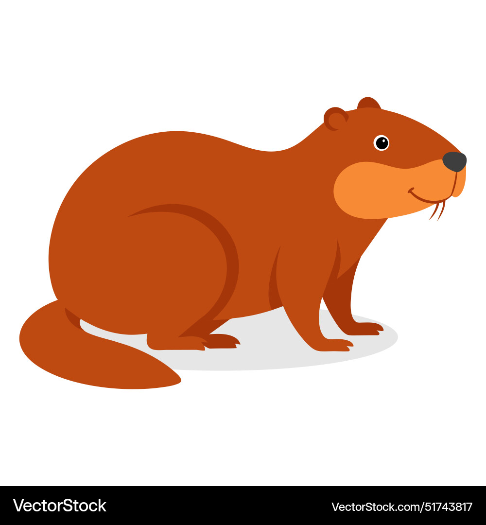Beaver animal flat on white background Royalty Free Vector
