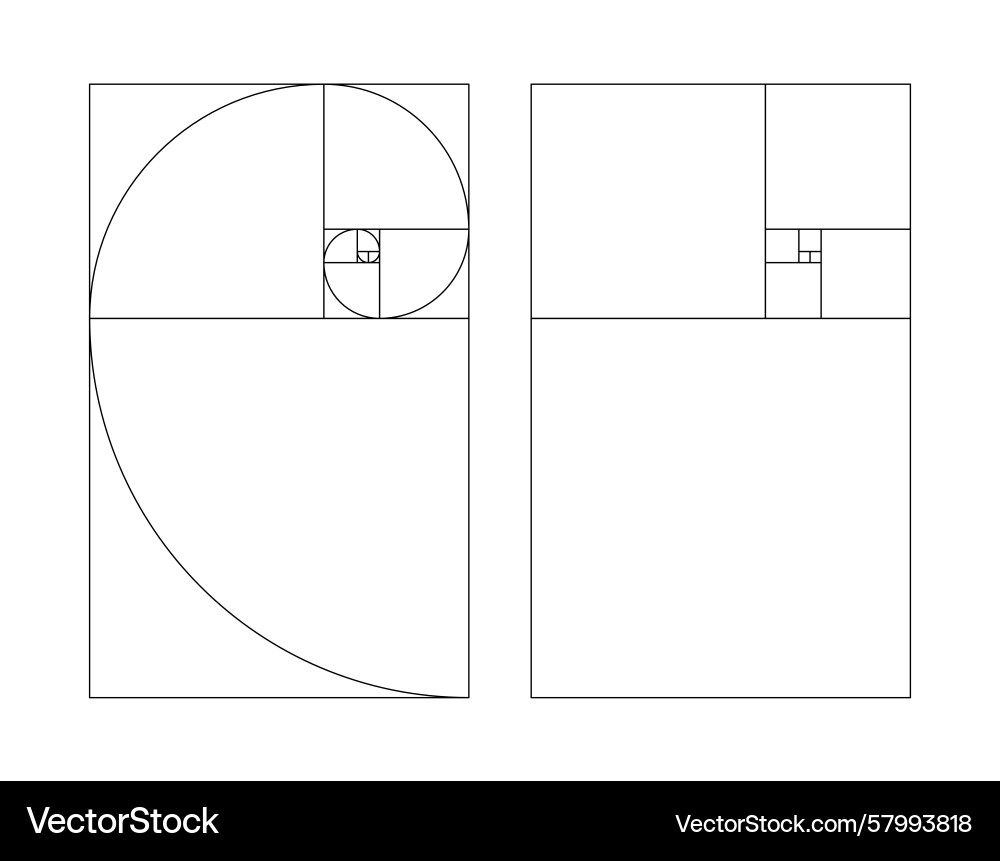Vertical golden ratio harmony proportions template