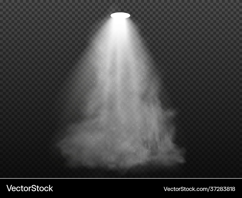 Warm light set bulb on a transparent background Vector Image
