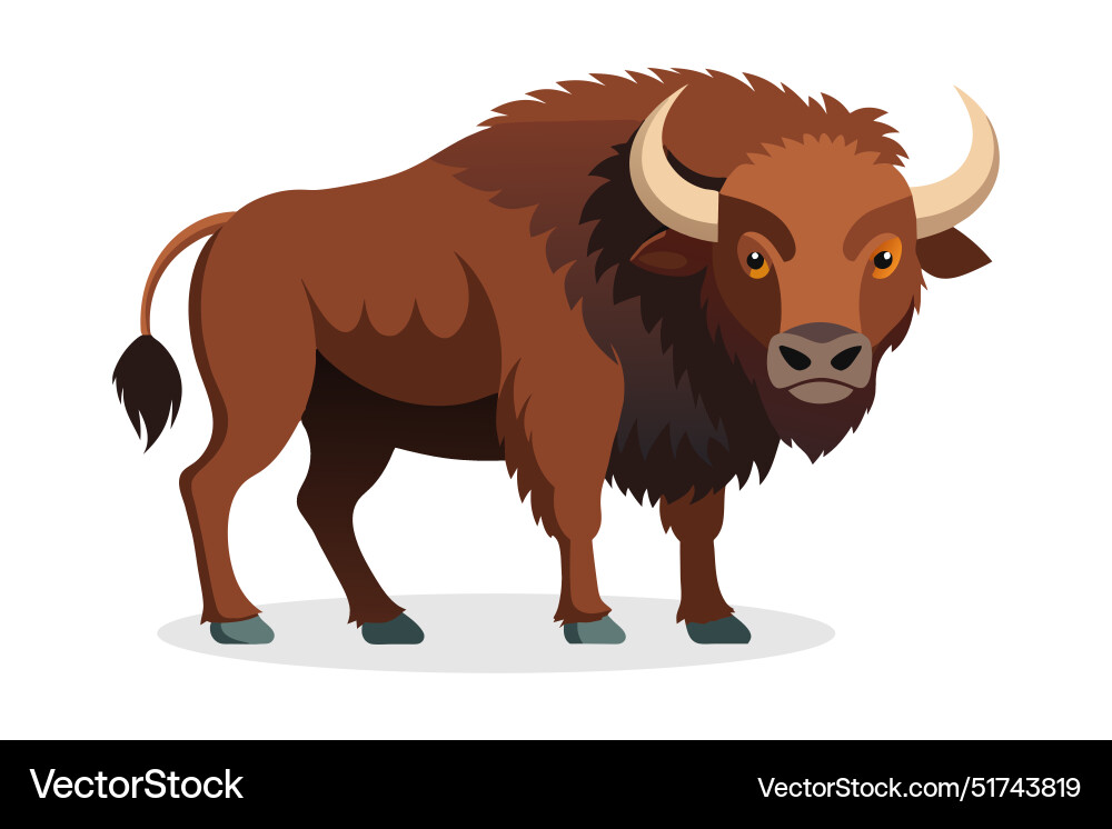 Bison animal flat on white background Royalty Free Vector