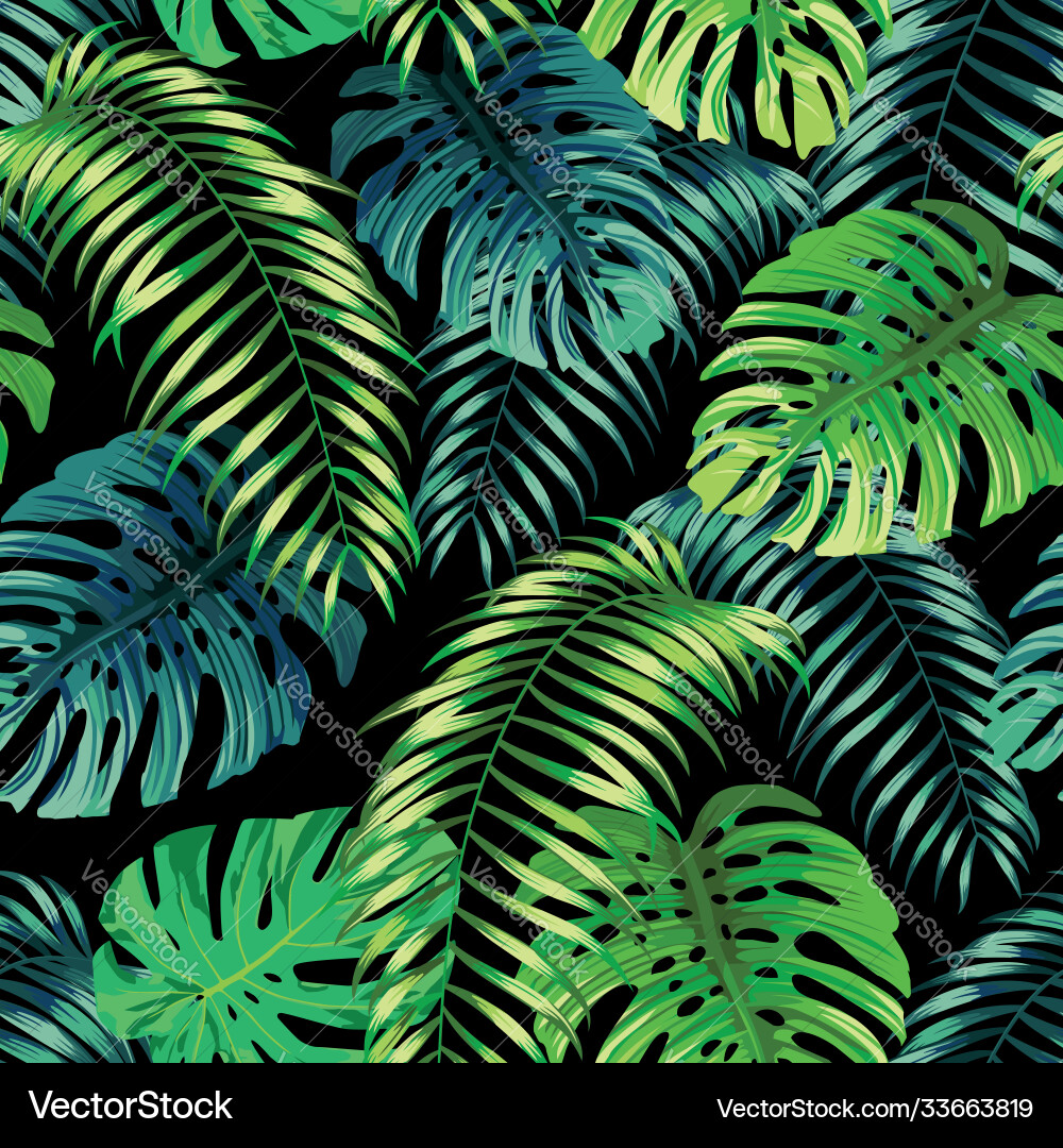 Fern monstera seamless leaves black background Vector Image