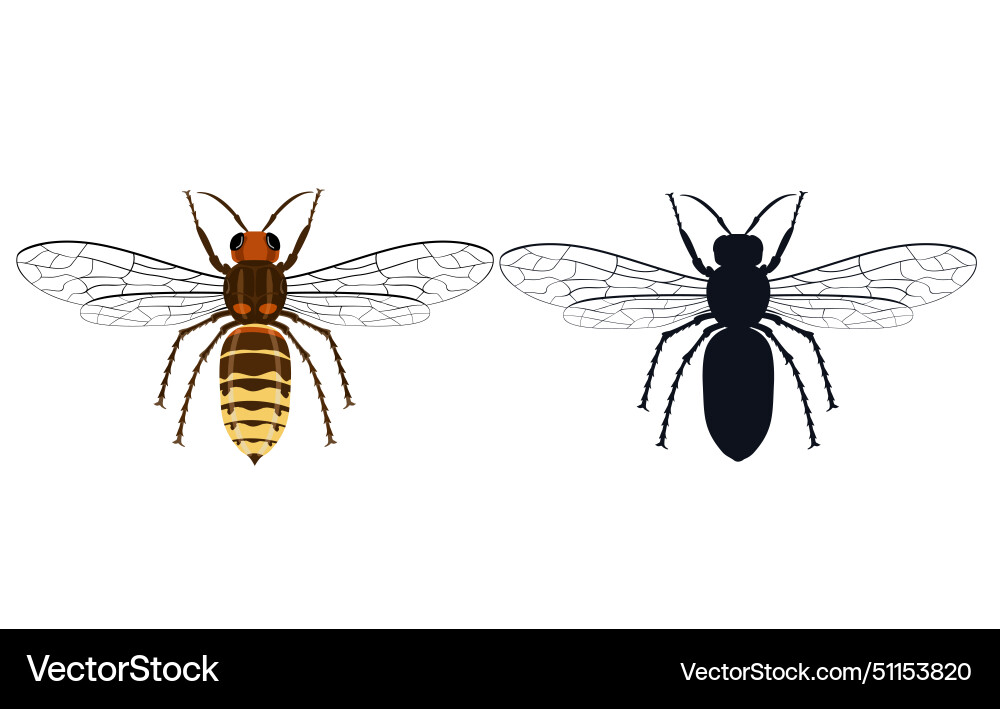 A hornet in flat style wasp Royalty Free Vector Image