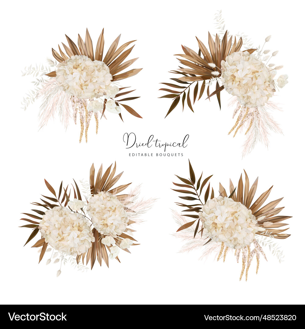 Dried palm tree leaves watercolor bouquet Vector Image Dried palm tree leaves watercolor bouquet Vector Image