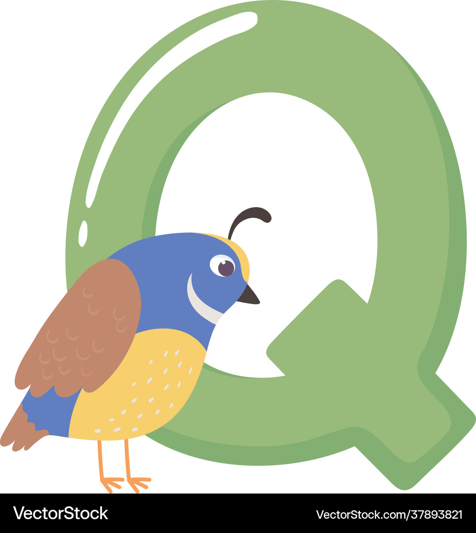 Quail animal alphabet Royalty Free Vector Image