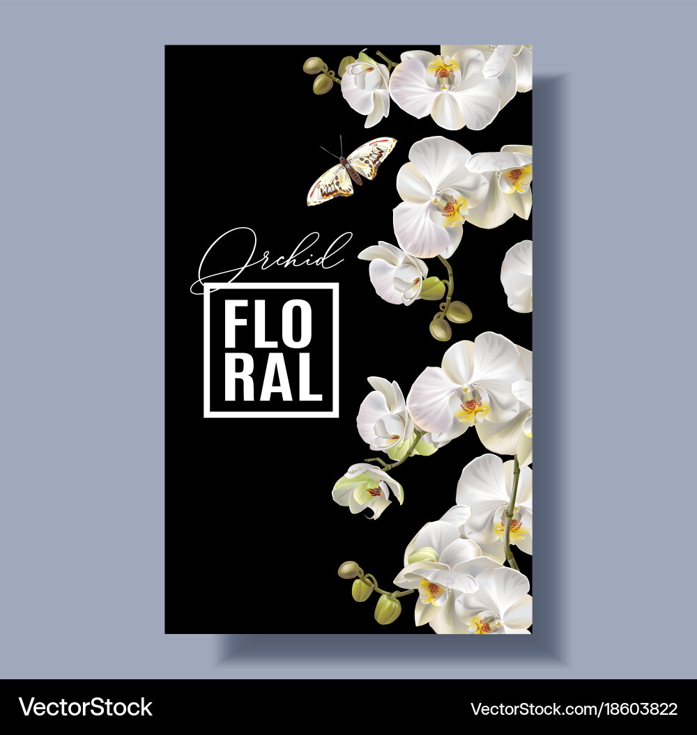 Floral orchid border Royalty Free Vector Image