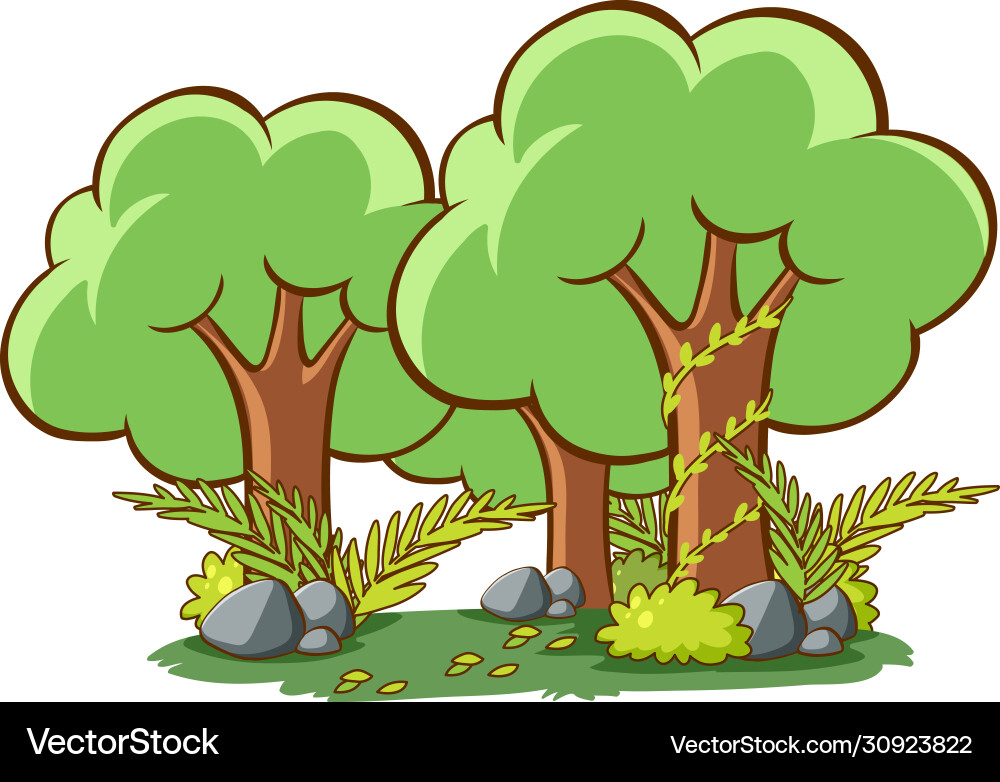 Many big trees in forest background Royalty Free Vector