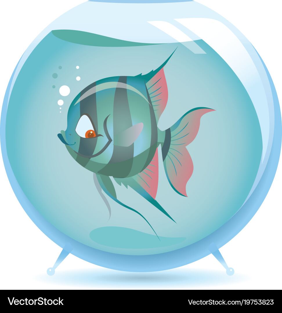 Cartoon angelfish Royalty Free Vector Image - VectorStock
