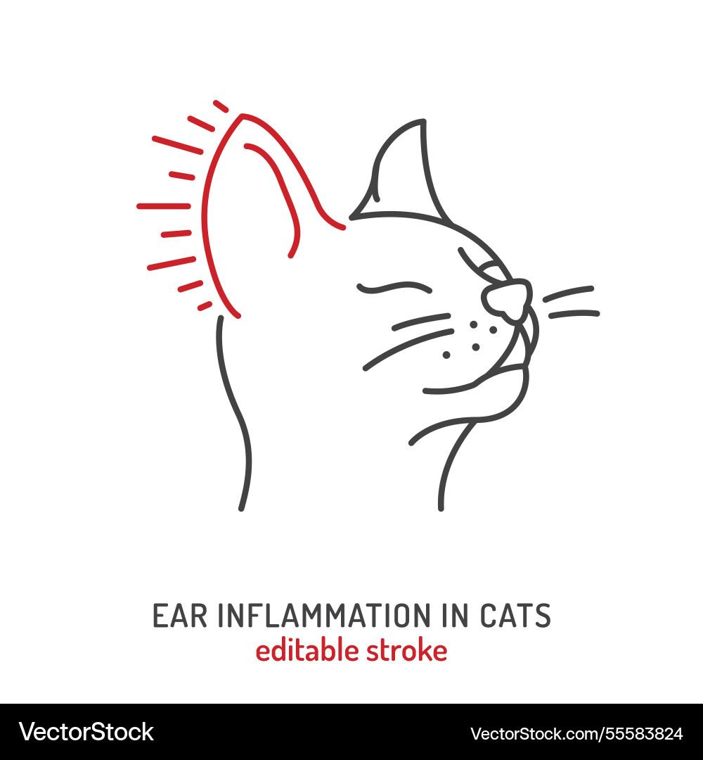 Ear infection in cat linear icon pictogram Vector Image
