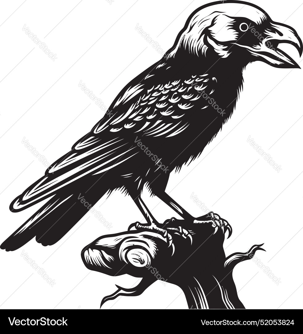 Shadowed raven symbol skull art sinister Vector Image
