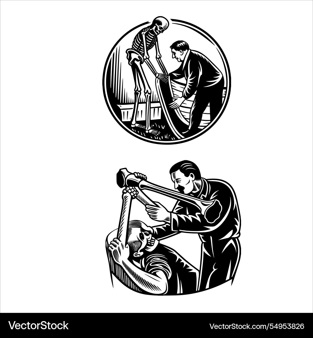 Human femur Royalty Free Vector Image - VectorStock