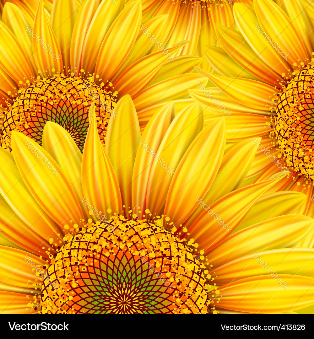 Sunflowers Royalty Free Vector Image - VectorStock