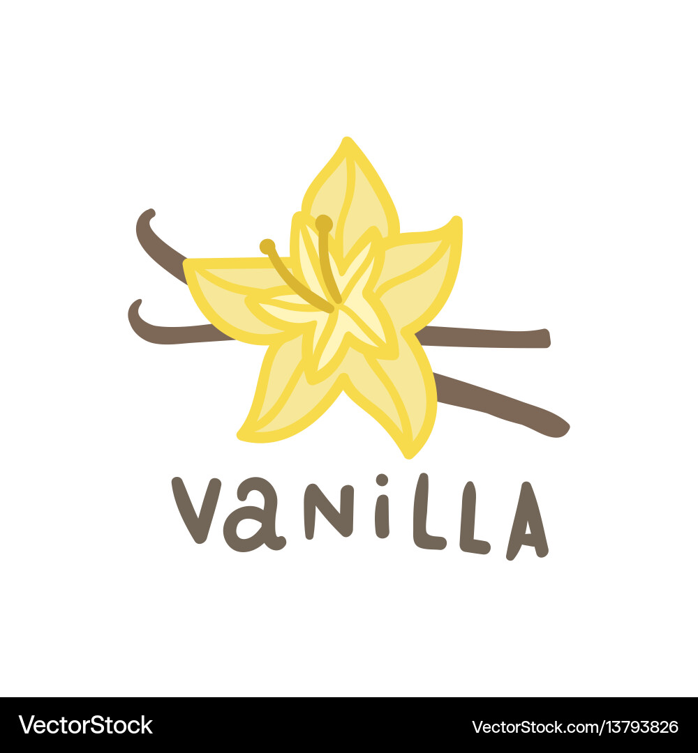 Vanilla superfood isolated on white Royalty Free Vector