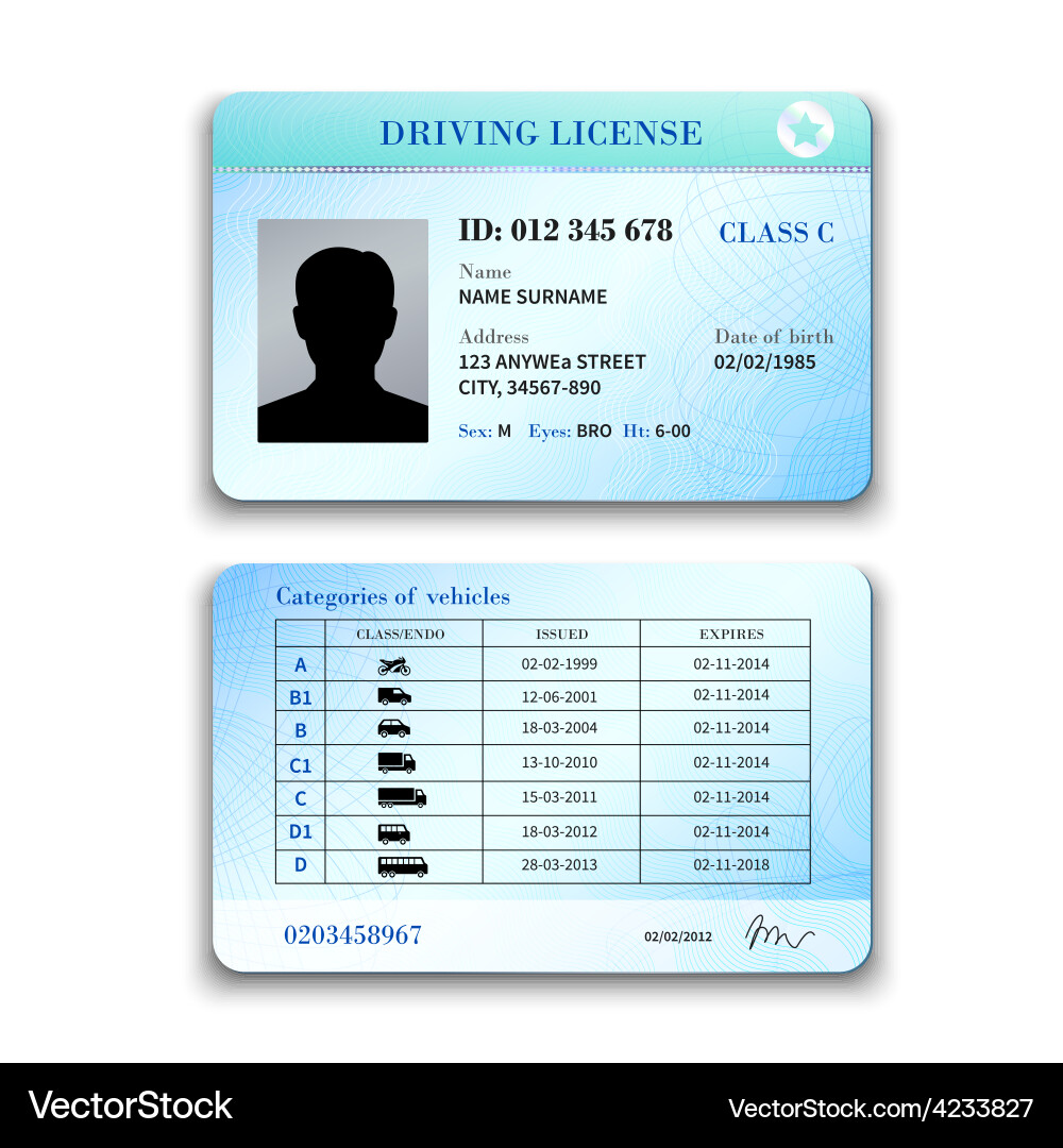 Driver License Template Vector Images (over 860)