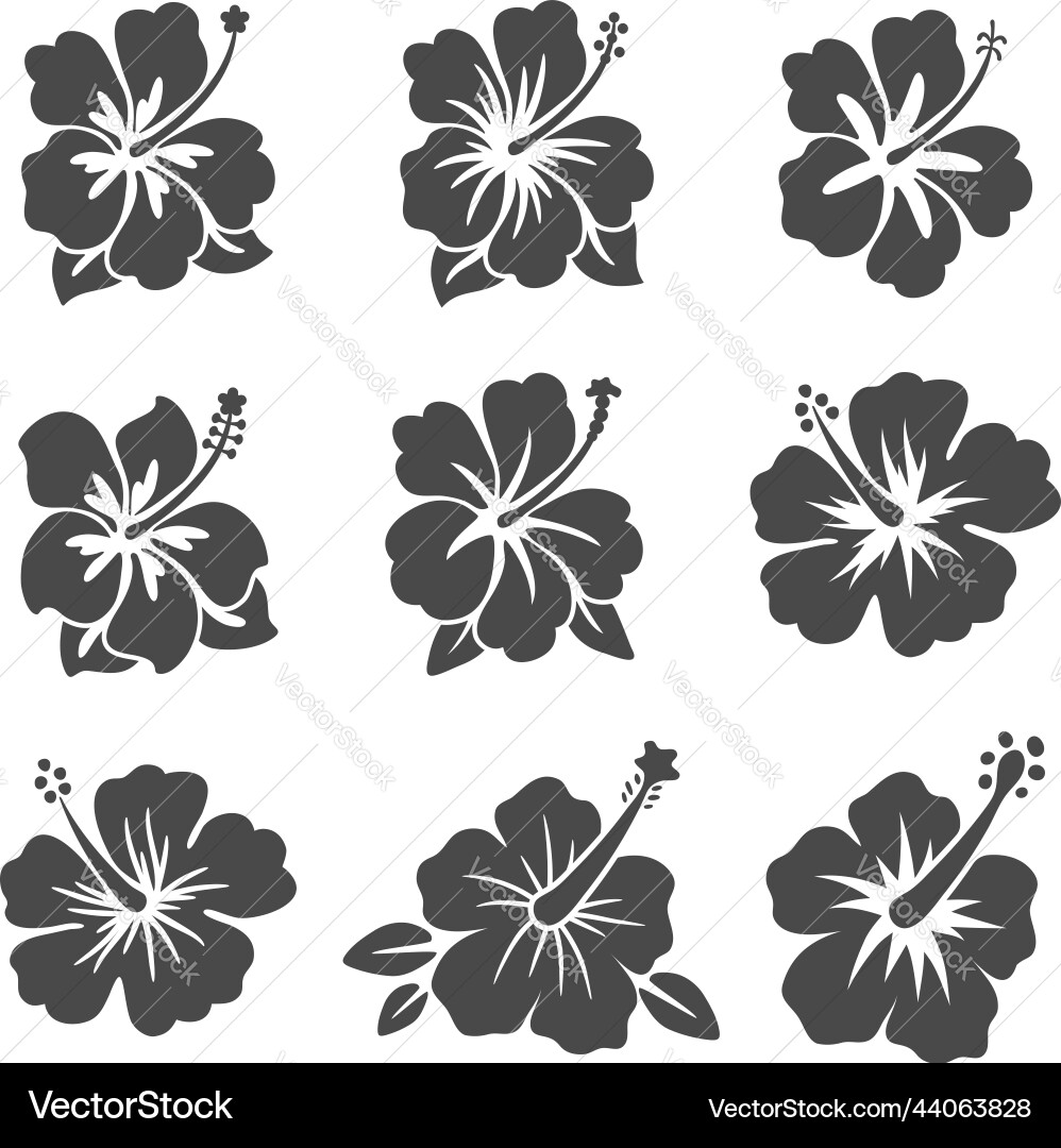 Hibiscus Flower Set Royalty Free Vector Image - VectorStock