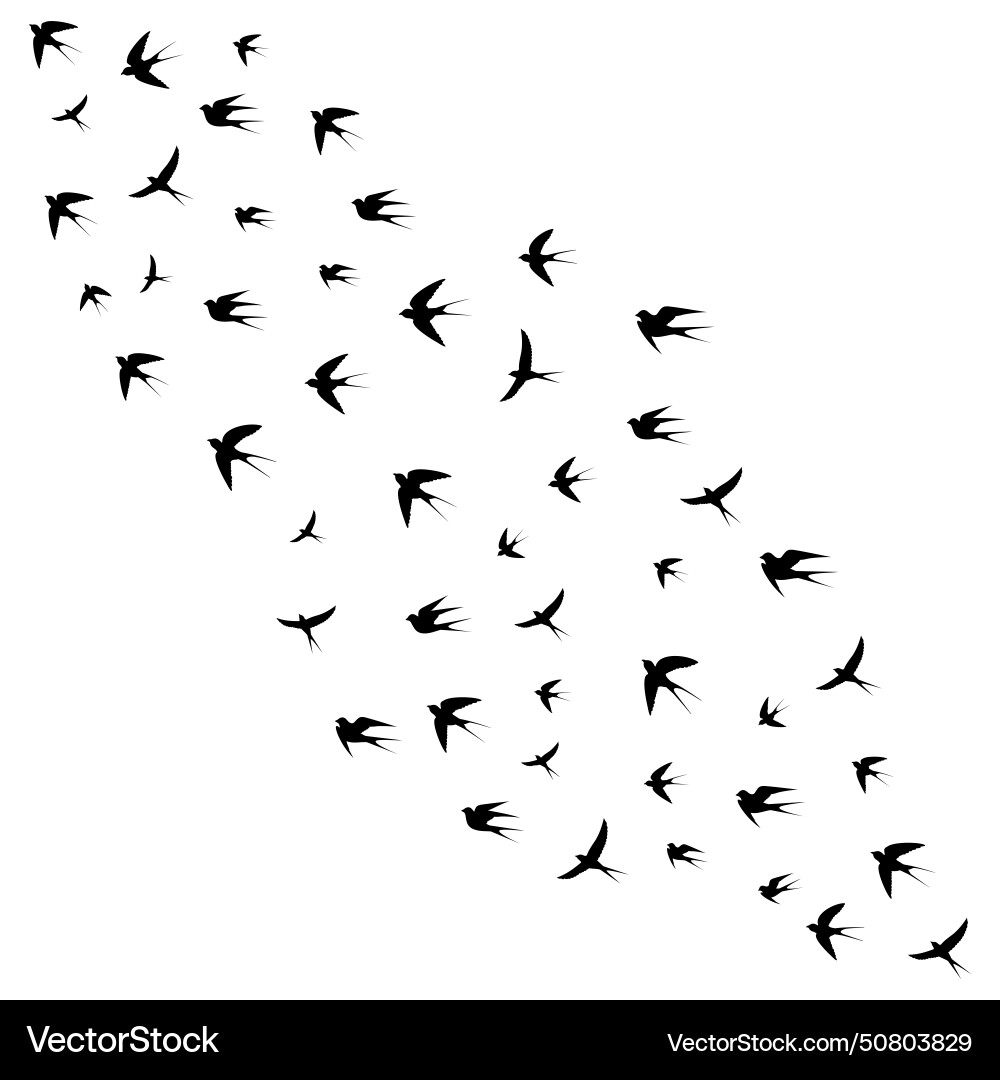 Birds fly high above the ground Royalty Free Vector Image