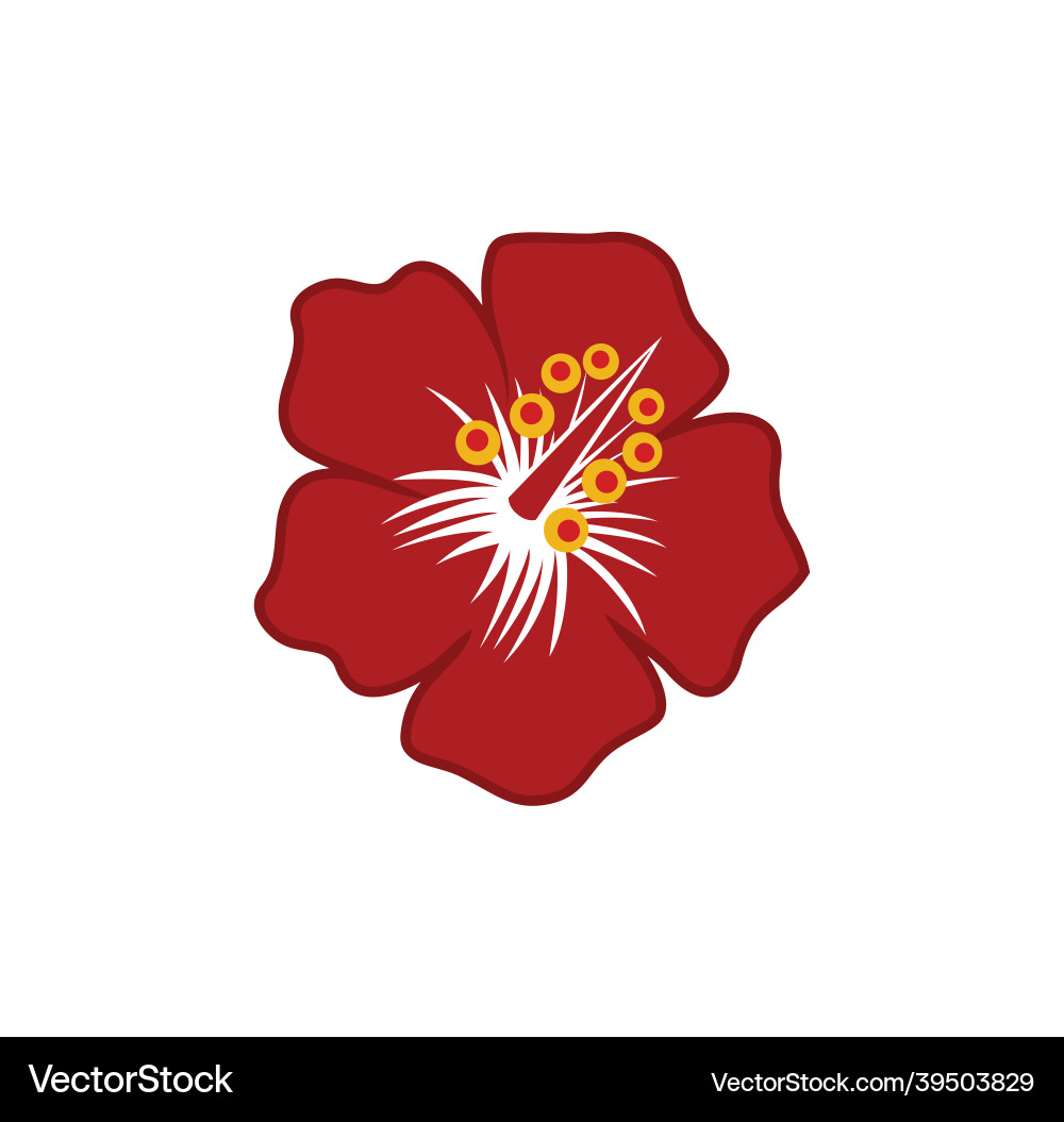 Hibiscus flower design Royalty Free Vector Image