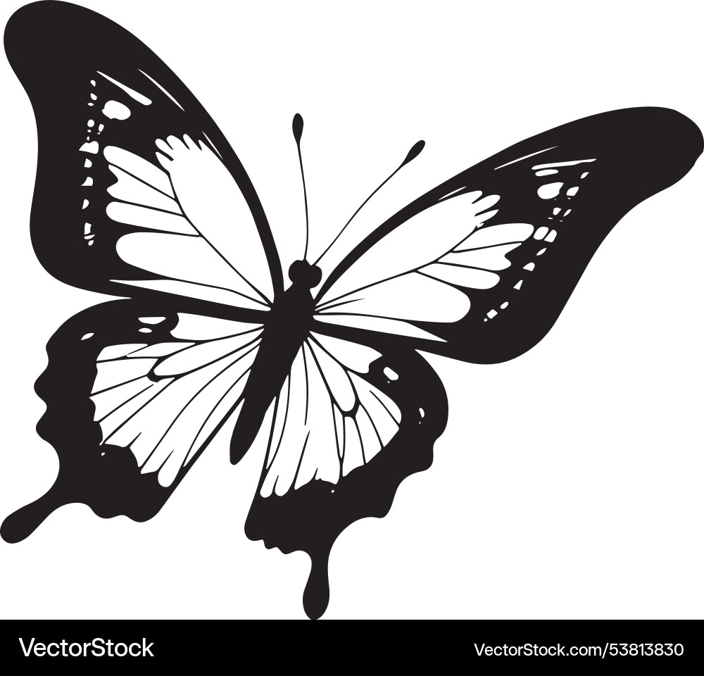 High-quality black and white animal Royalty Free Vector