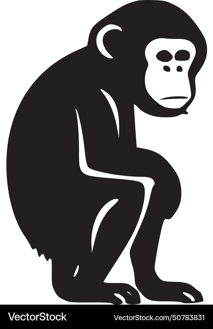 Monkey - minimalist and simple silhouette Vector Image