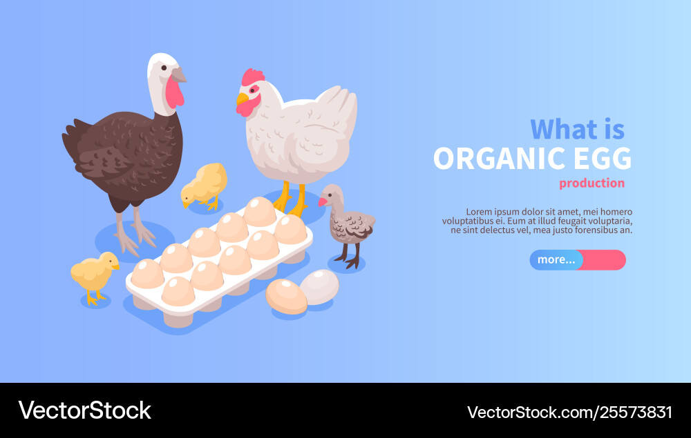 Poultry farm isometric banner Royalty Free Vector Image