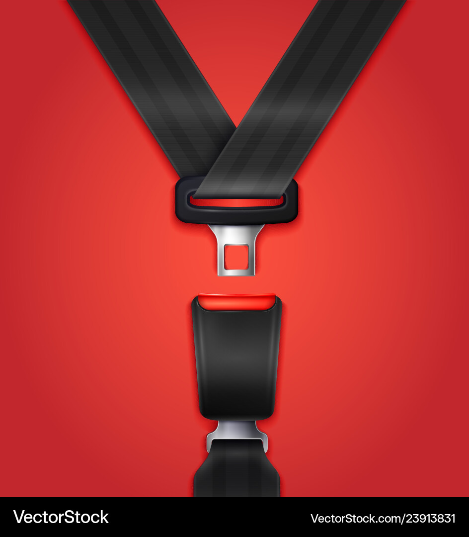 Realistic passenger seat belt Royalty Free Vector Image