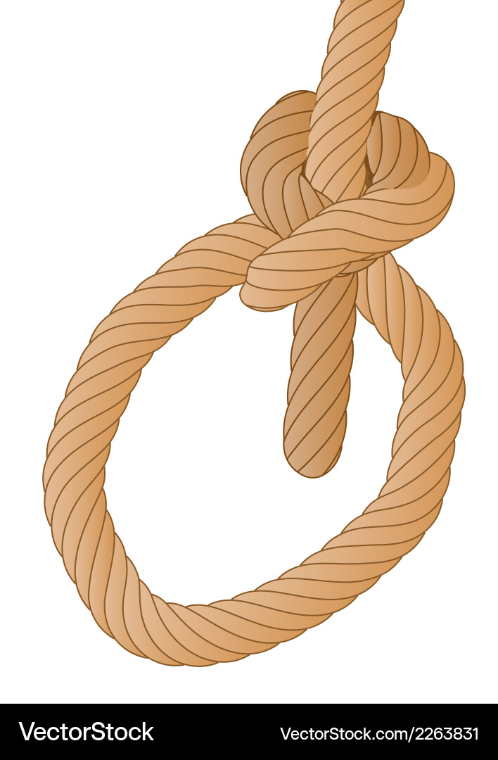 Rope Bundle Royalty Free Vector Image - VectorStock