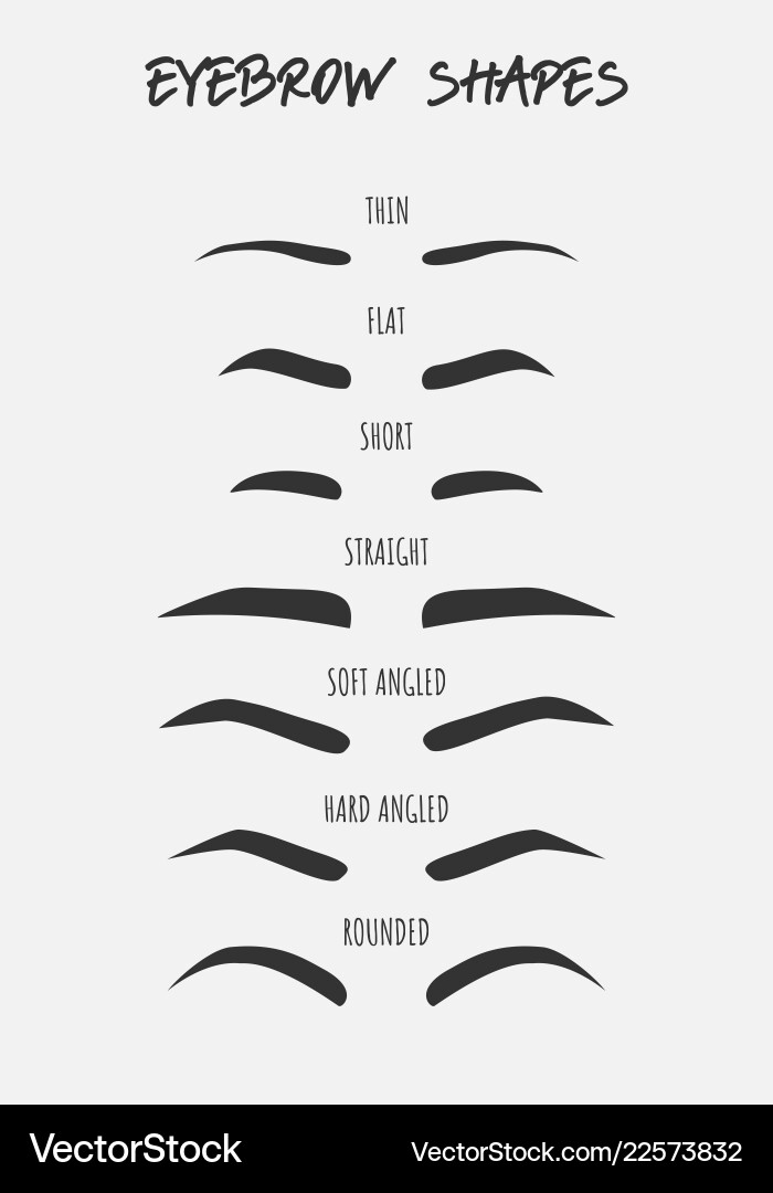 Female Eyebrow Styles Royalty Free Vector Image