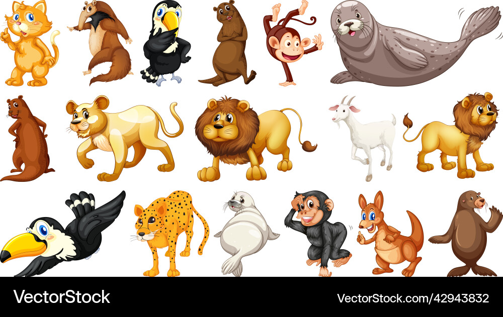 Wild animals on white background Royalty Free Vector Image