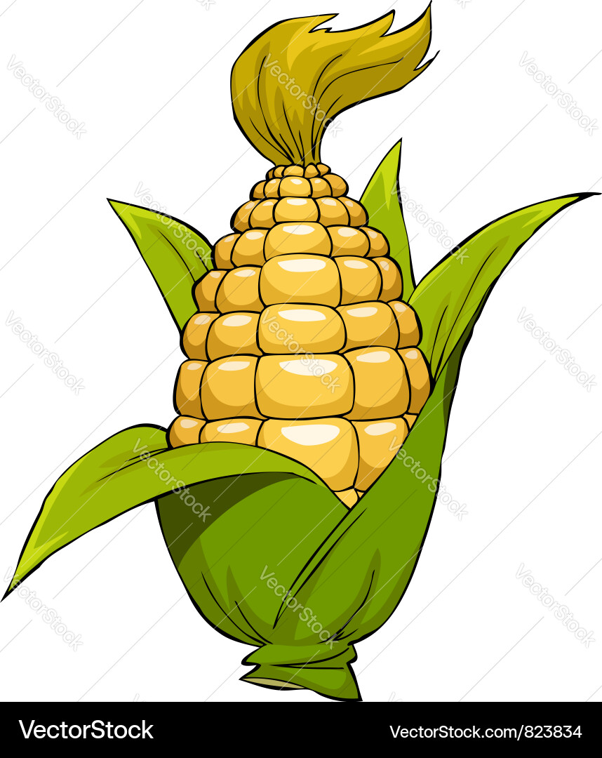 Corn Royalty Free Vector Image - VectorStock