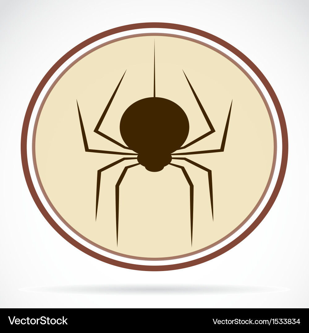 Spider Royalty Free Vector Image - VectorStock