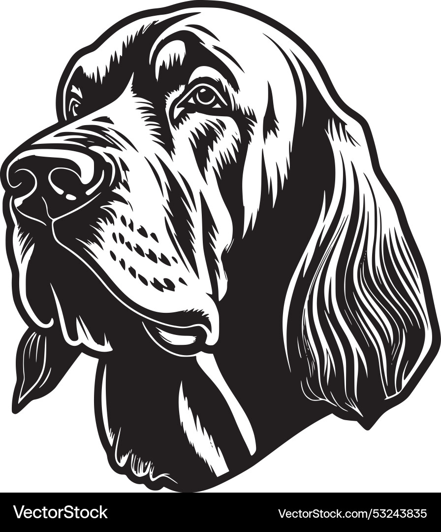 Bloodhound - high quality logo ideal Royalty Free Vector
