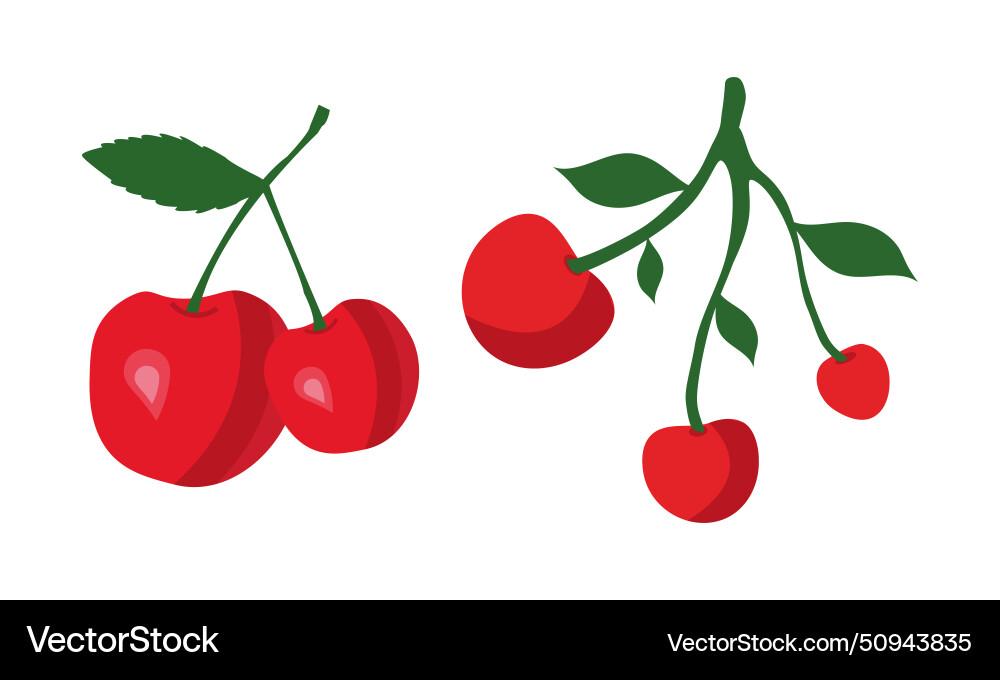 Cherry design and bundle Royalty Free Vector Image
