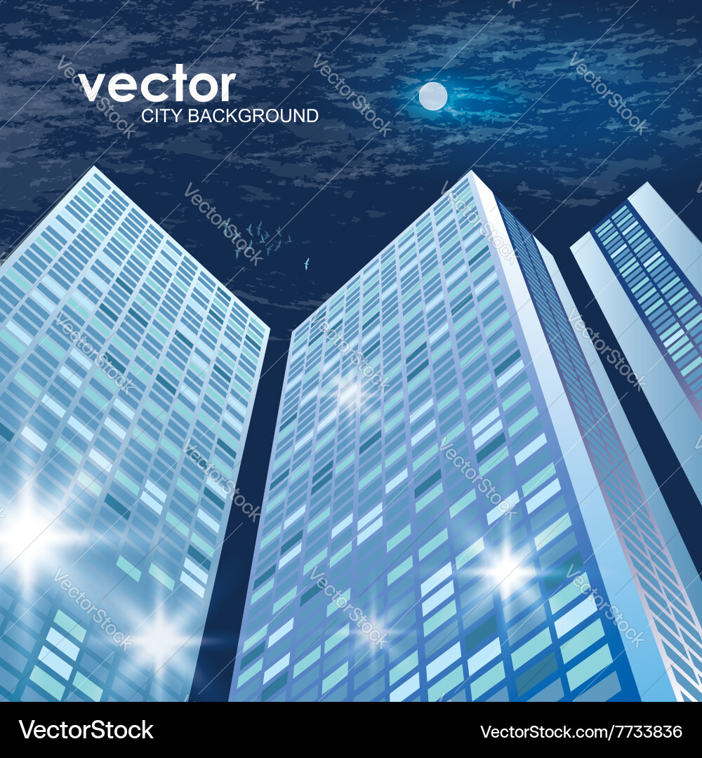 City architecture at night Royalty Free Vector Image
