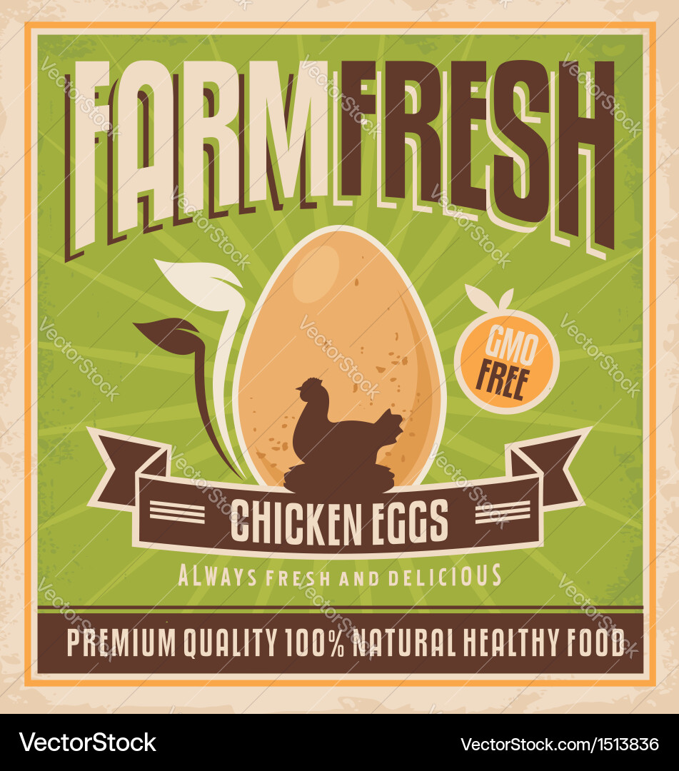 Farm fresh chicken eggs Royalty Free Vector Image