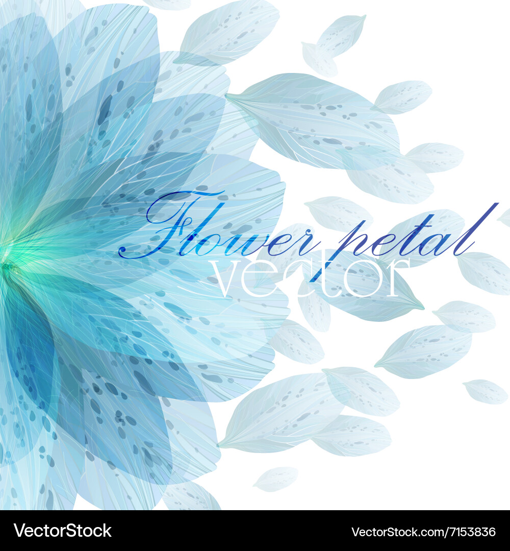 Floral round pattern of blue flower petals Vector Image