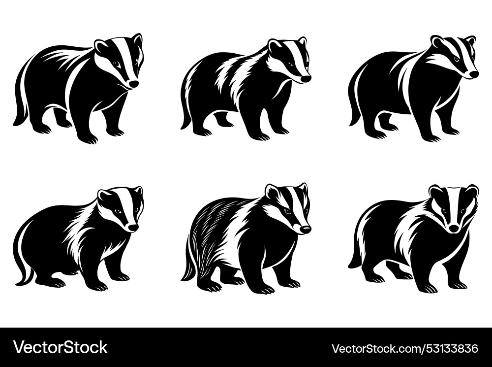 Set of badger silhouette Royalty Free Vector Image