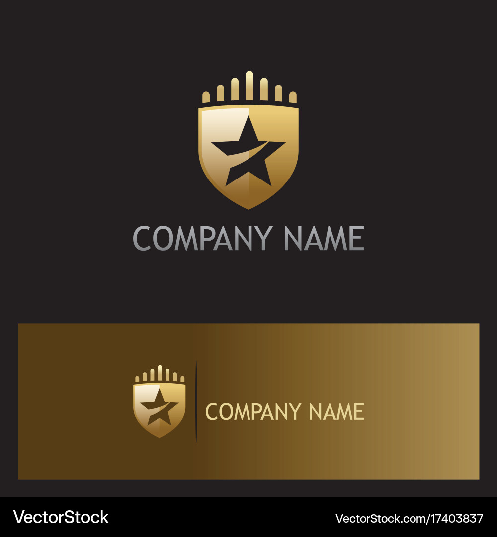Star shield gold company logo Royalty Free Vector Image