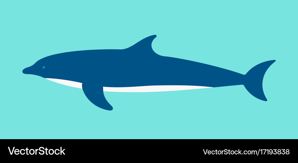 Dolphin Royalty Free Vector Image - VectorStock