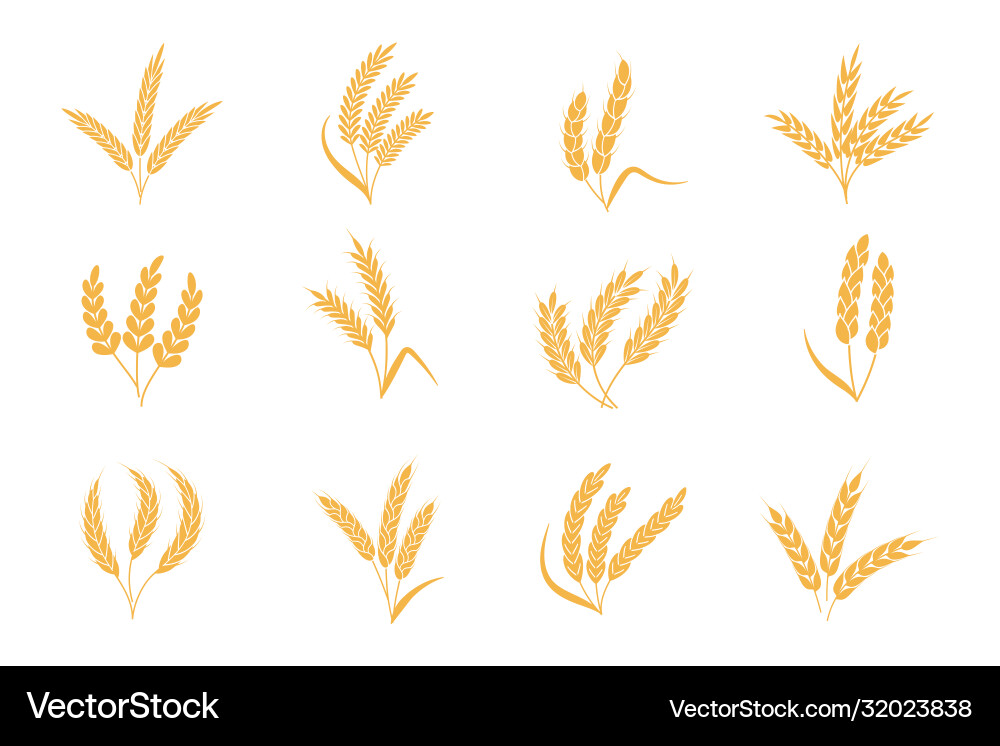 Wheat and Rye Harvest Icons Royalty Free Vector Image