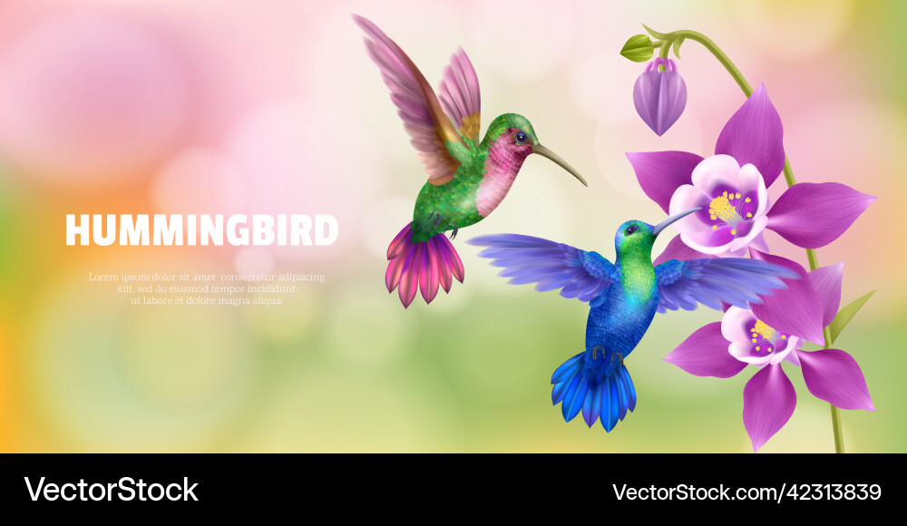 Hummingbird background Royalty Free Vector Image